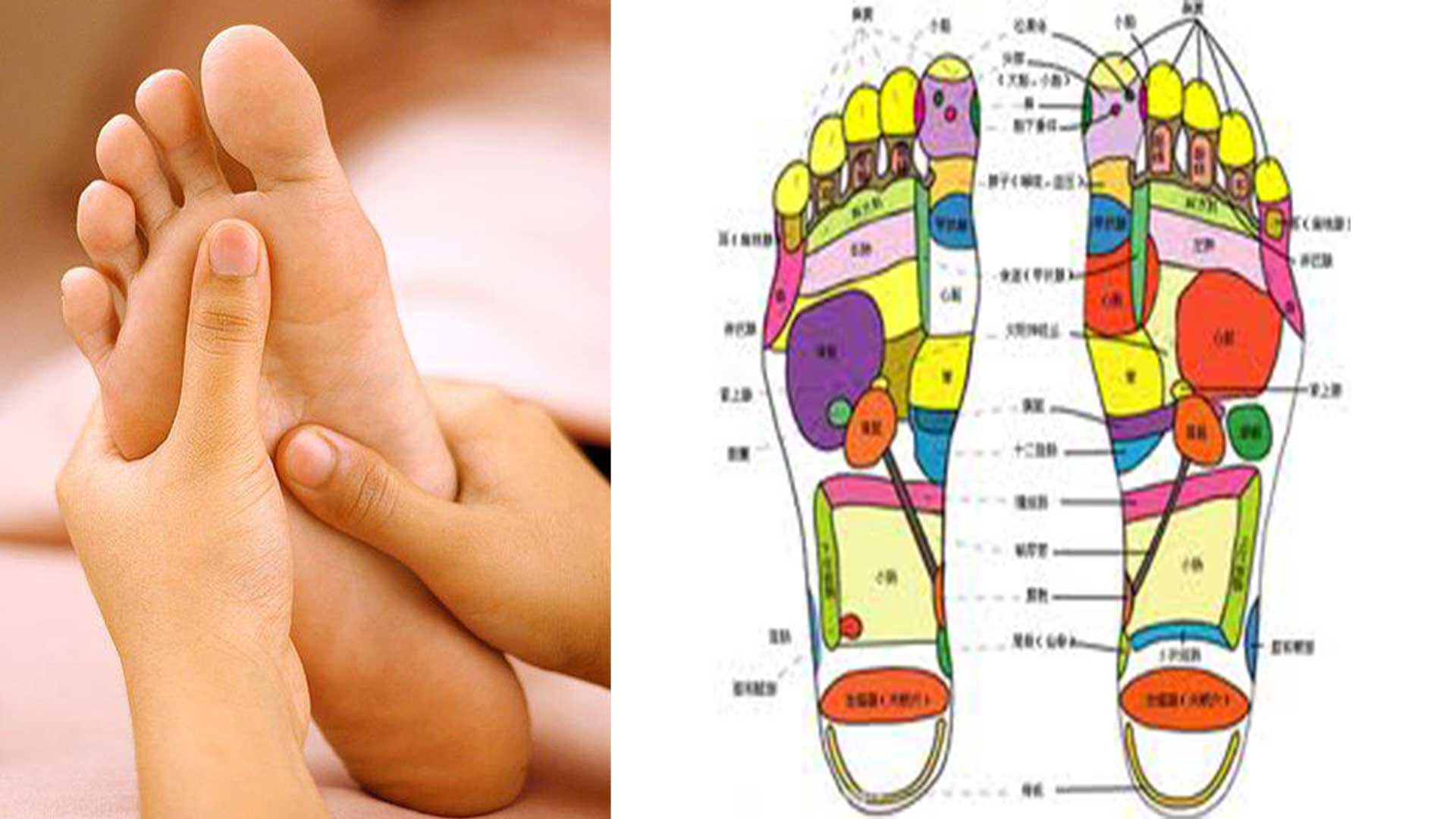 Clinical Reflexology | The Traditional Way Clinic